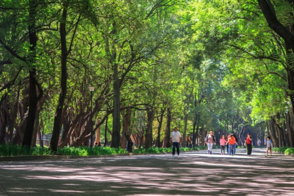 1a Seccion Bosque de Chapultepec – Mundo-Runner